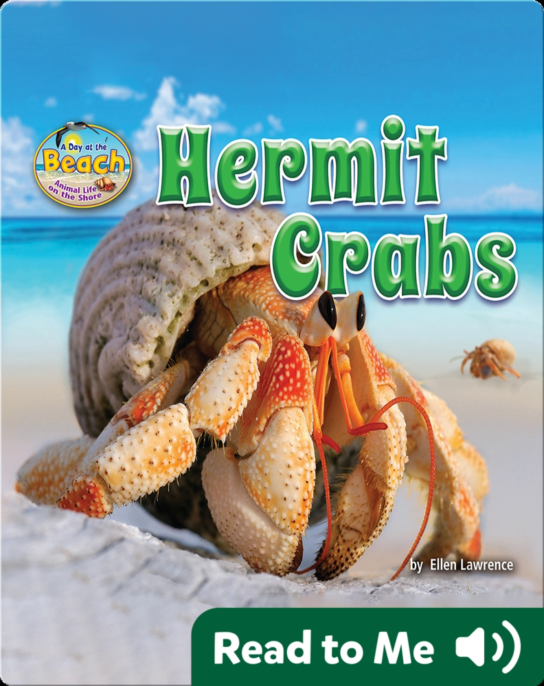 Hermit Crabs Book by Ellen Lawrence | Epic