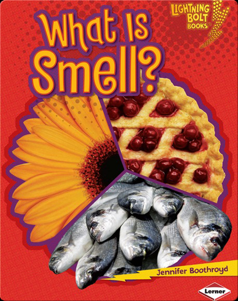What Is Smell? Book by Jennifer Boothroyd | Epic