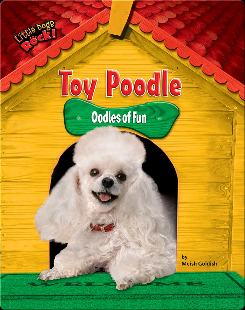 Toy Poodle: Oodles of Fun Book by Meish Goldish | Epic