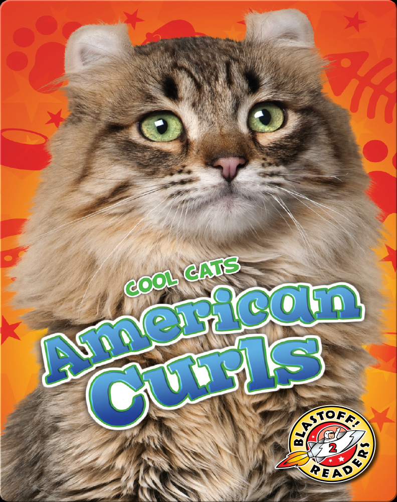 American Curls Book by Betsy Rathburn | Epic