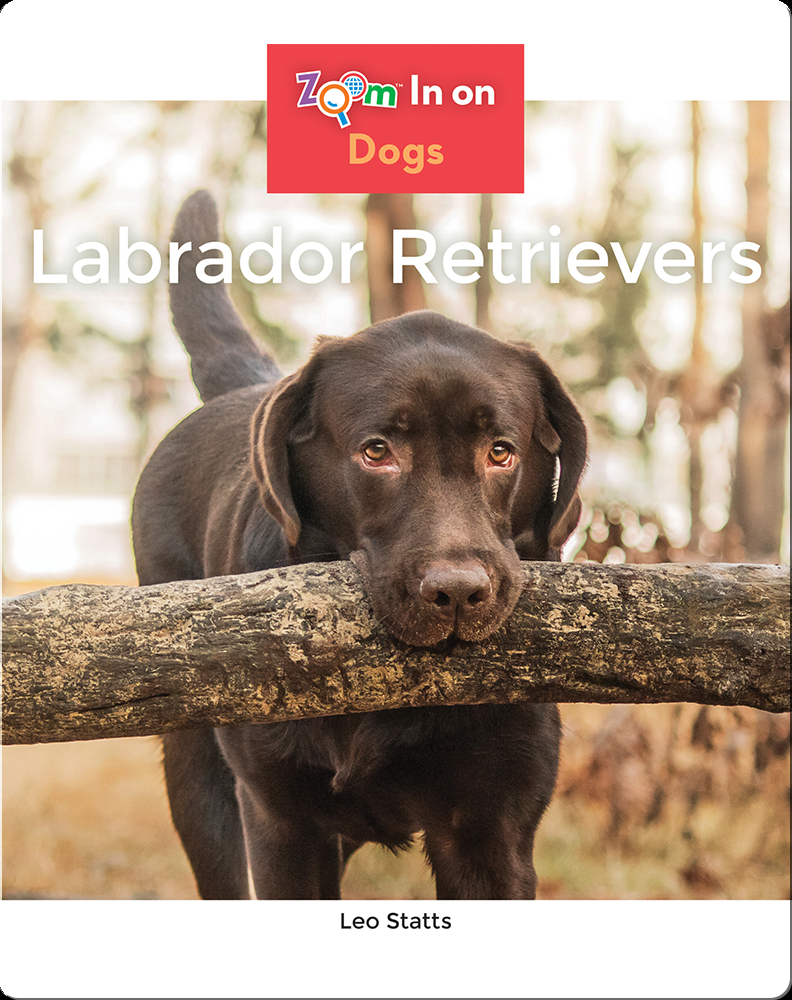 Labrador Retrievers Book by Leo Statts | Epic