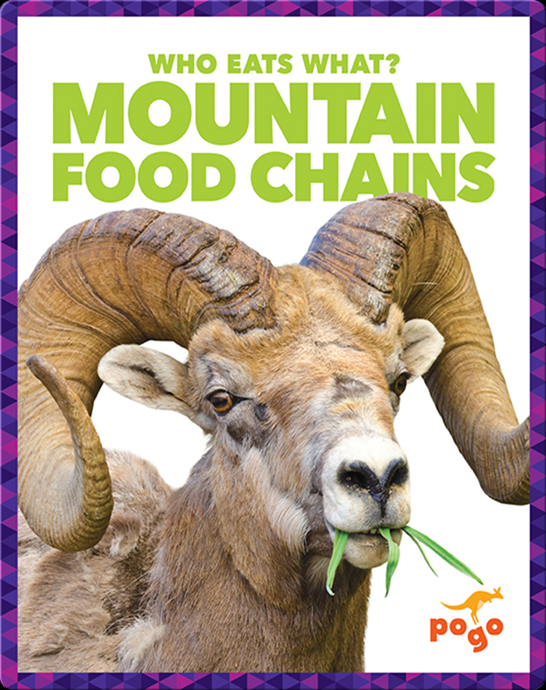 Mountain Food Chains Book by Rebecca Pettiford | Epic