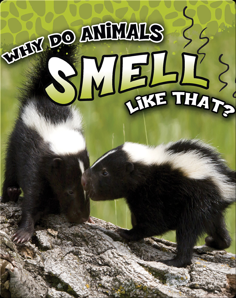 Why Do Animals Smell Like That? Book by Reese Everett | Epic
