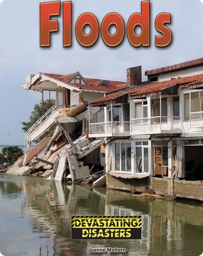 Floods Children's Book Collection | Discover Epic Children's Books ...