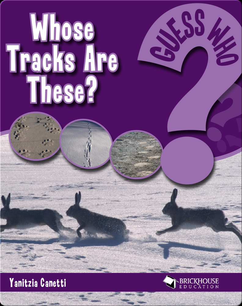 Whose Tracks Are These? Book by Yanitzia Canetti | Epic