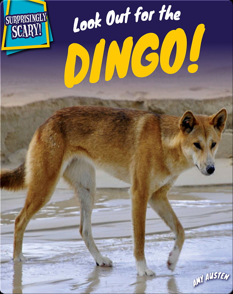 Look Out for the Dingo! Book by Amy Austen | Epic