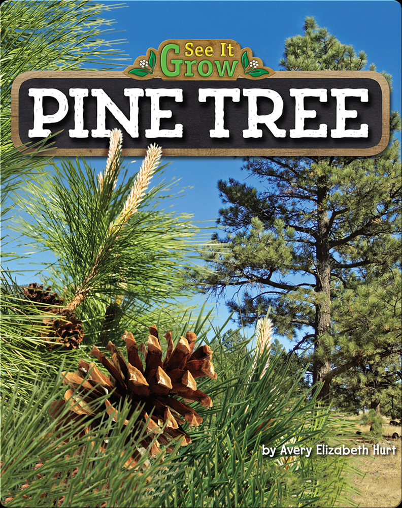Pine Tree Book by Avery Hurt | Epic
