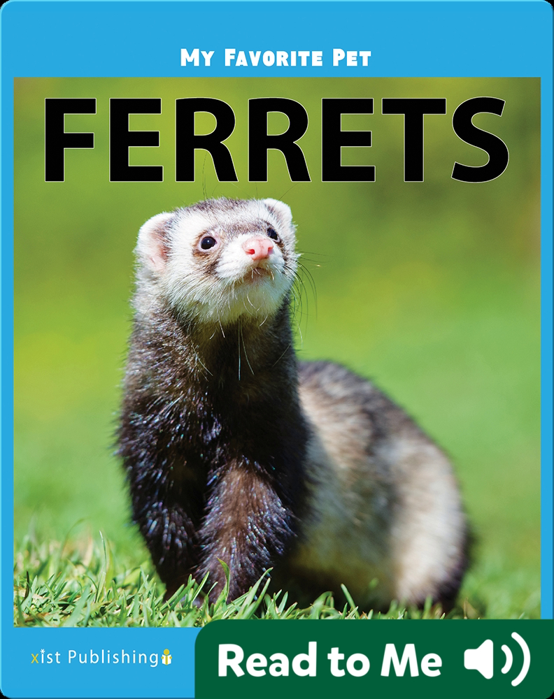 My Favorite Pet: Ferrets Book by Victoria Marcos | Epic