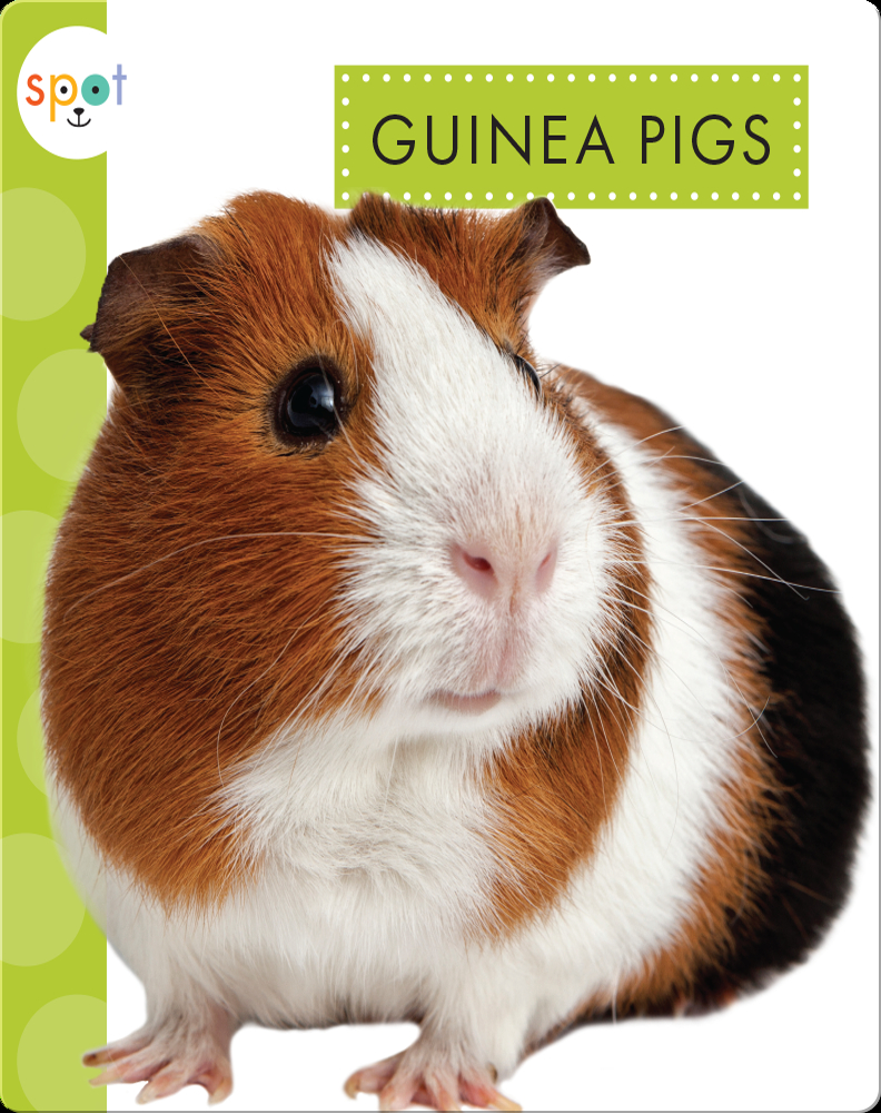 Guinea Pigs Book by Mari Schuh | Epic