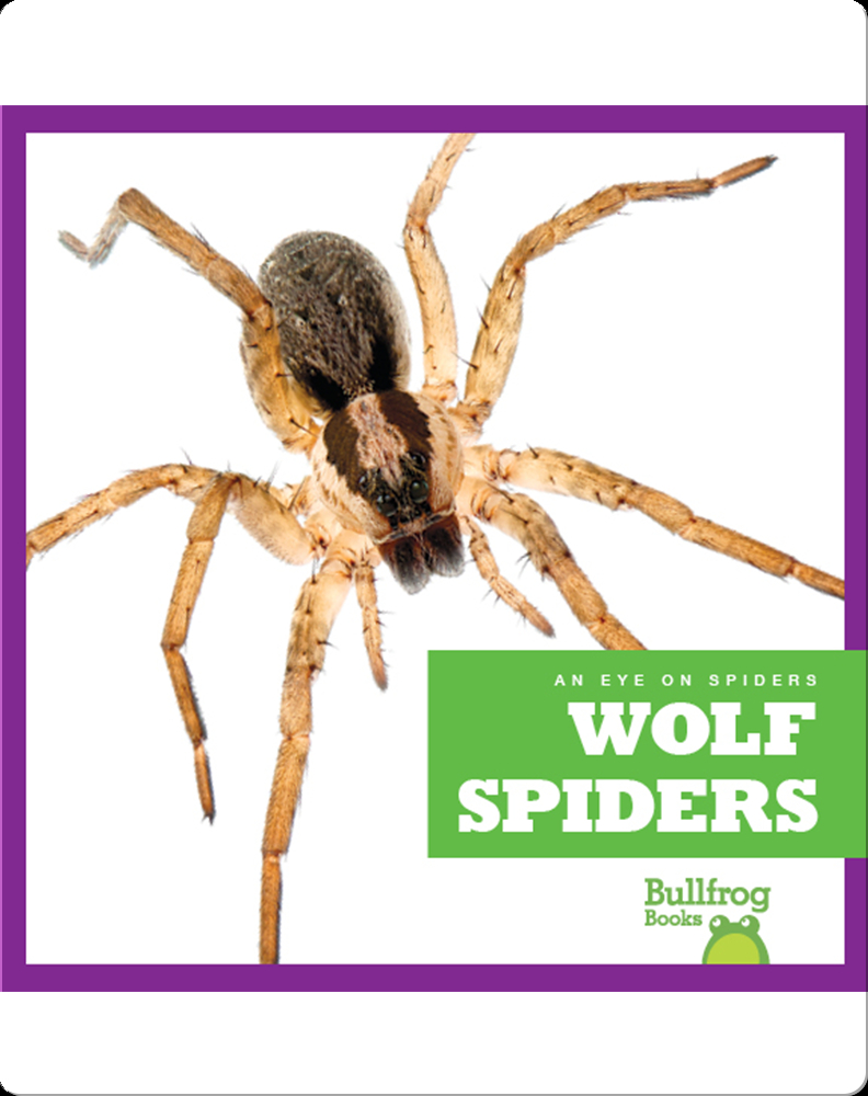 Wolf Spiders Book by Jenna Lee Gleisner | Epic
