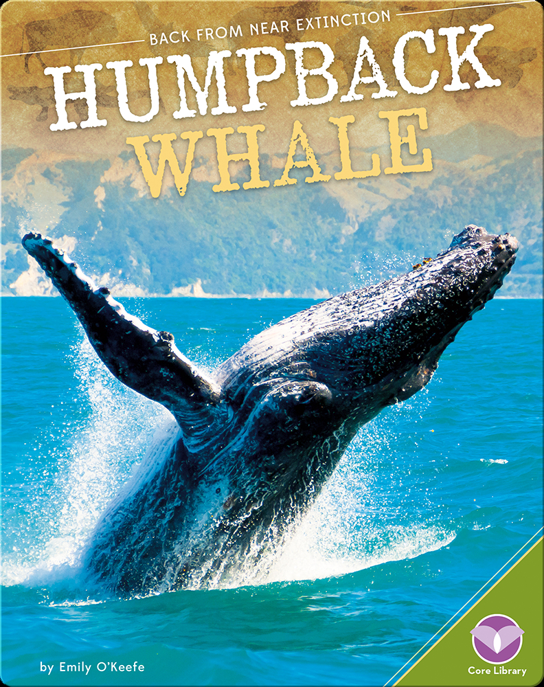 Humpback Whale Book by Emily O'Keefe | Epic