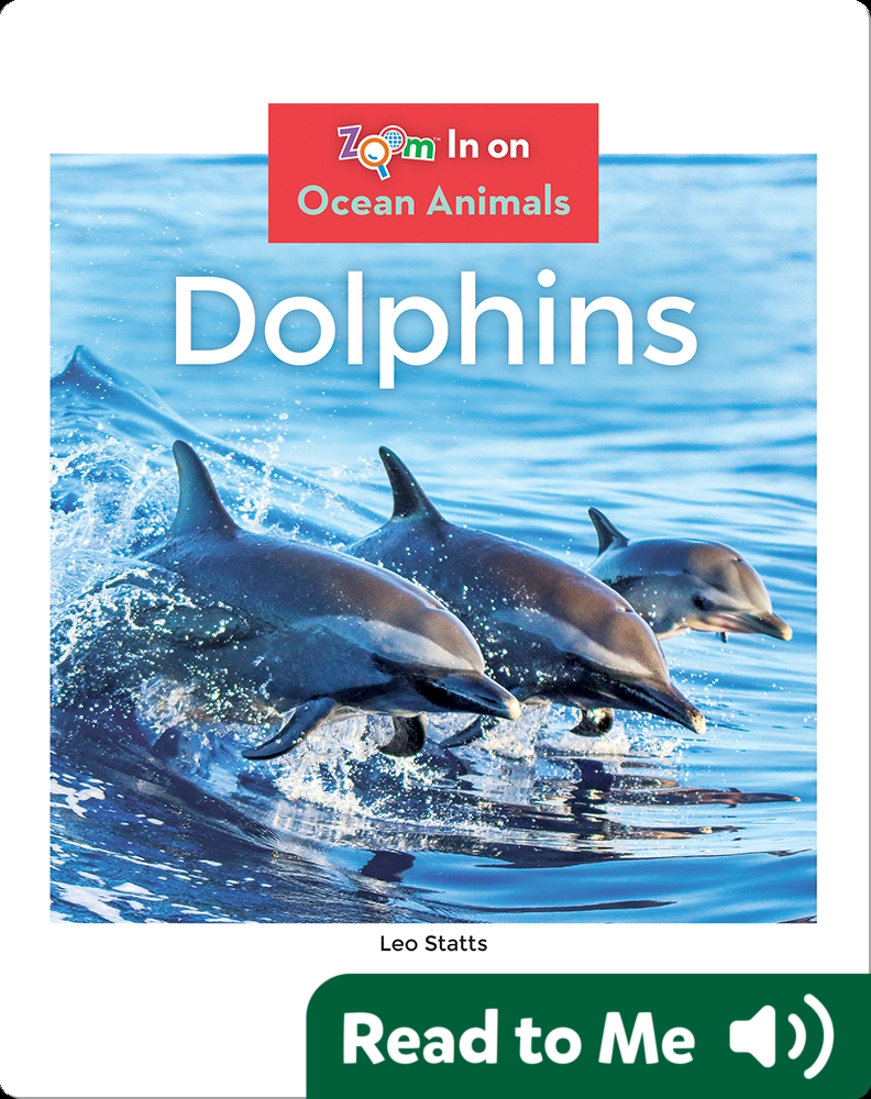 Dolphins Book by Leo Statts | Epic