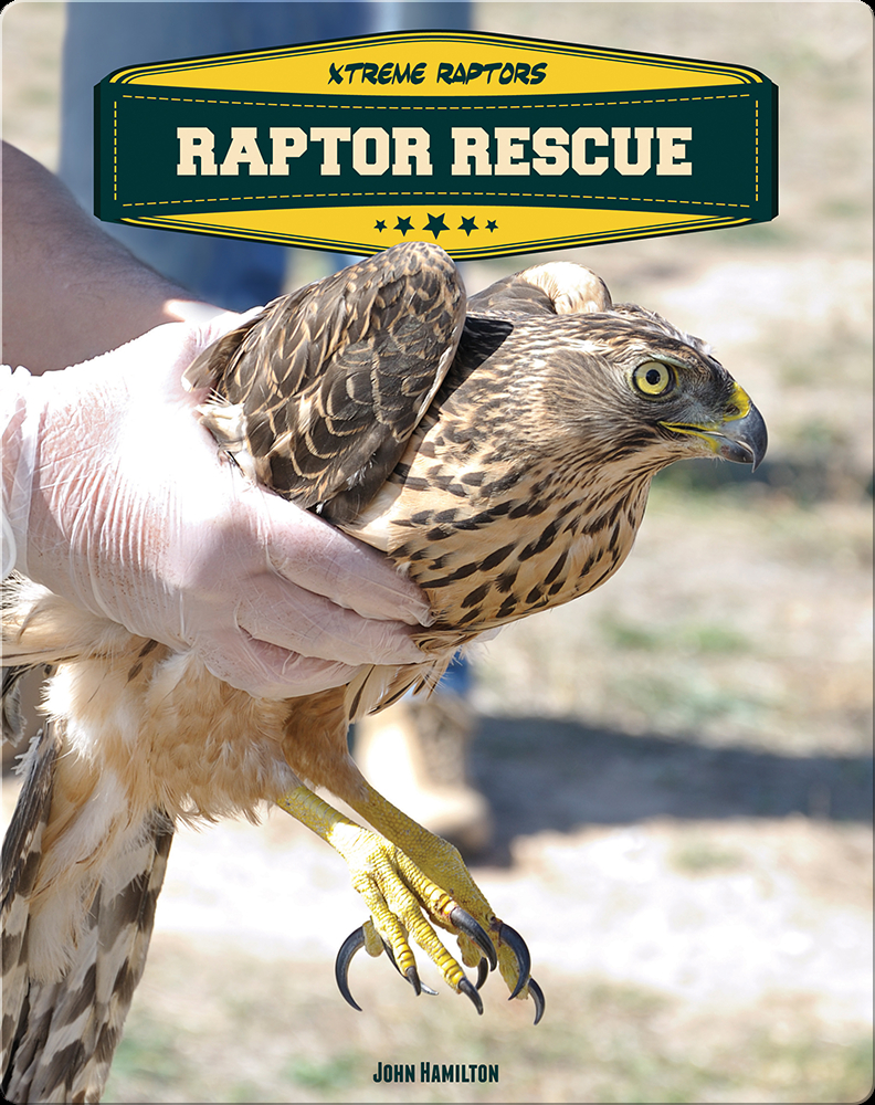 Raptor Rescue Book by John Hamilton | Epic