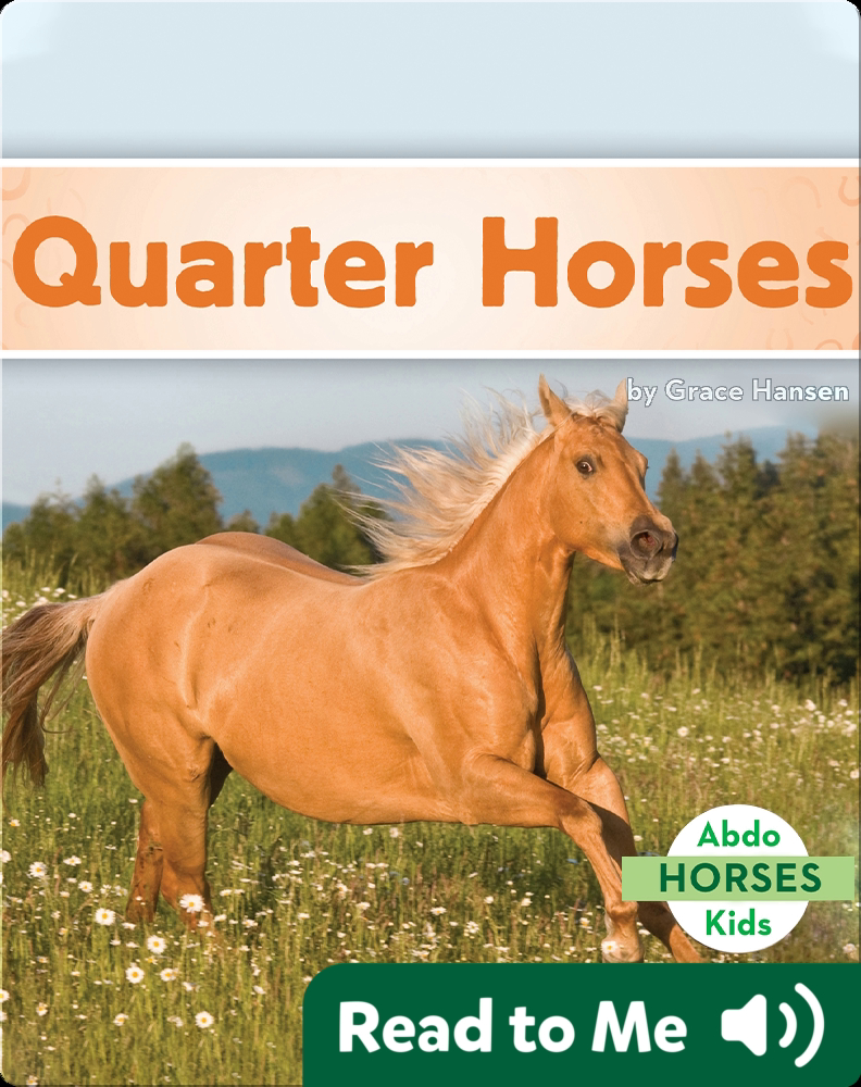 Quarter Horses Book by Grace Hansen | Epic