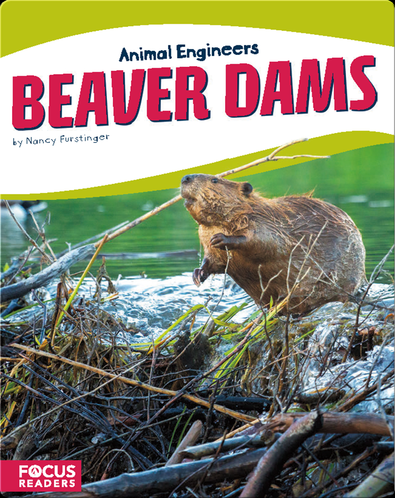 Animal Engineers: Beaver Dams Book by Nancy Furstinger | Epic