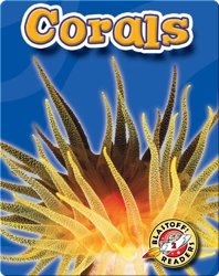 Coral Reef Children's Book Collection | Discover Epic Children's Books ...