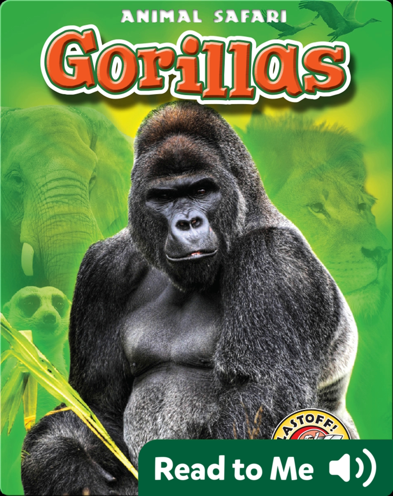 Gorillas: Animal Safari Book by Derek Zobel | Epic