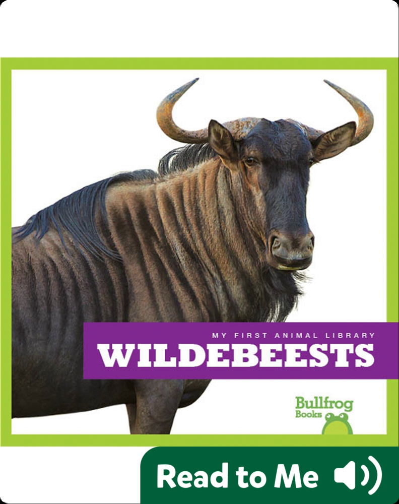 My First Animal Library: Wildebeests Book by Penelope S. Nelson | Epic