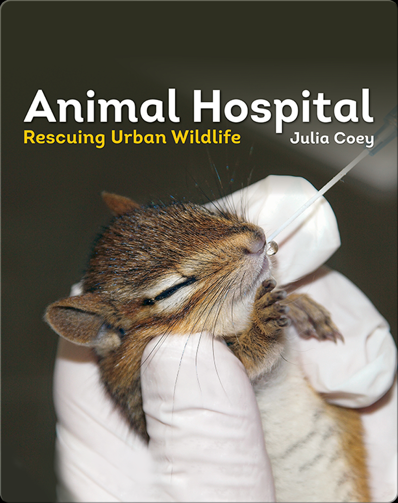 Animal Hospital: Rescuing Urban Wildlife Book by Julia Coey | Epic