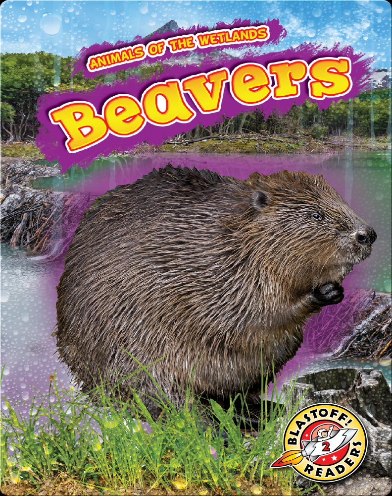 Animals of the Wetlands: Beavers Book by Rachel Grack | Epic