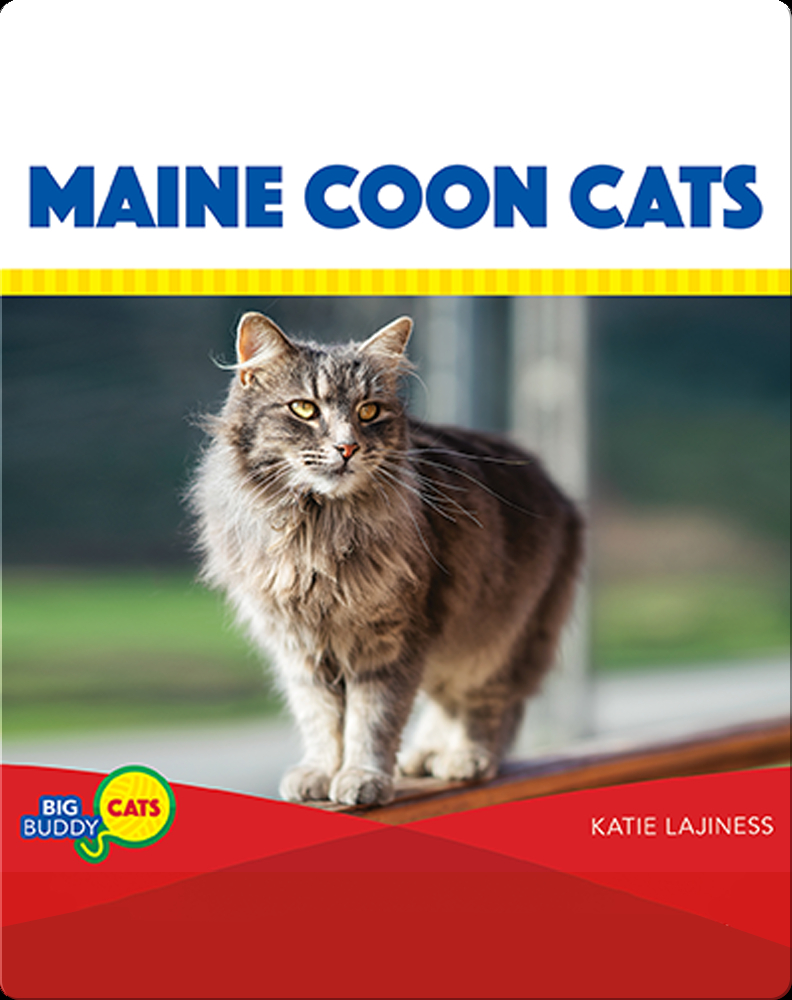 Main Coon Cats Book by Katie Lajiness | Epic