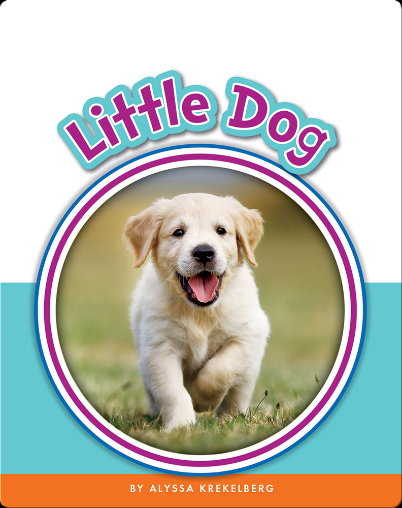Learning Sight Words: Little Dog Book by Alyssa Krekelberg | Epic