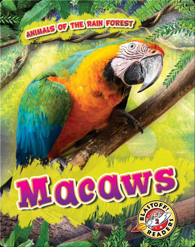 Animals of the Rain Forest: Macaws Book by Karen Latchana Kenney | Epic