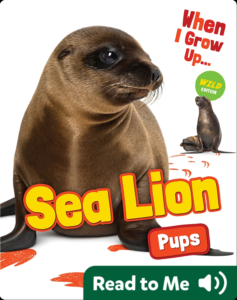 When I Grow Up: Sea Lion Pups Book by Emmie Chang | Epic