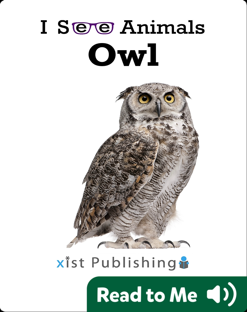 I See Animals: Owl Book by August Hoeft | Epic