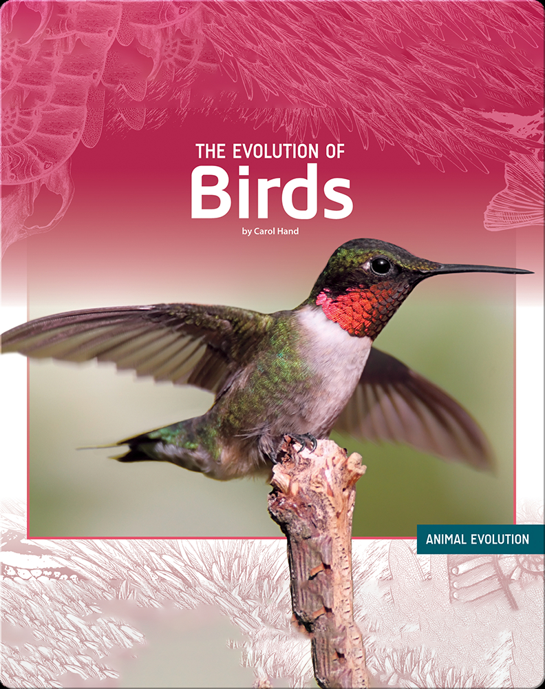 The Evolution of Birds Book by Carol Hand | Epic