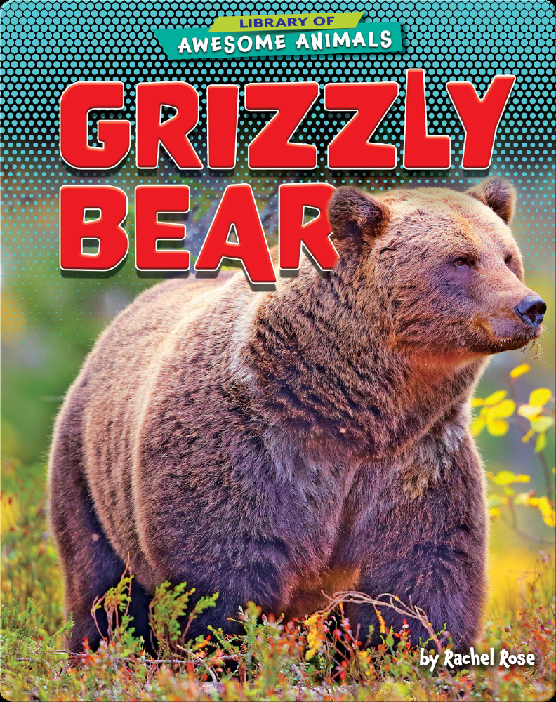 Awesome Animals: Grizzly Bear Book by Rachel Rose | Epic