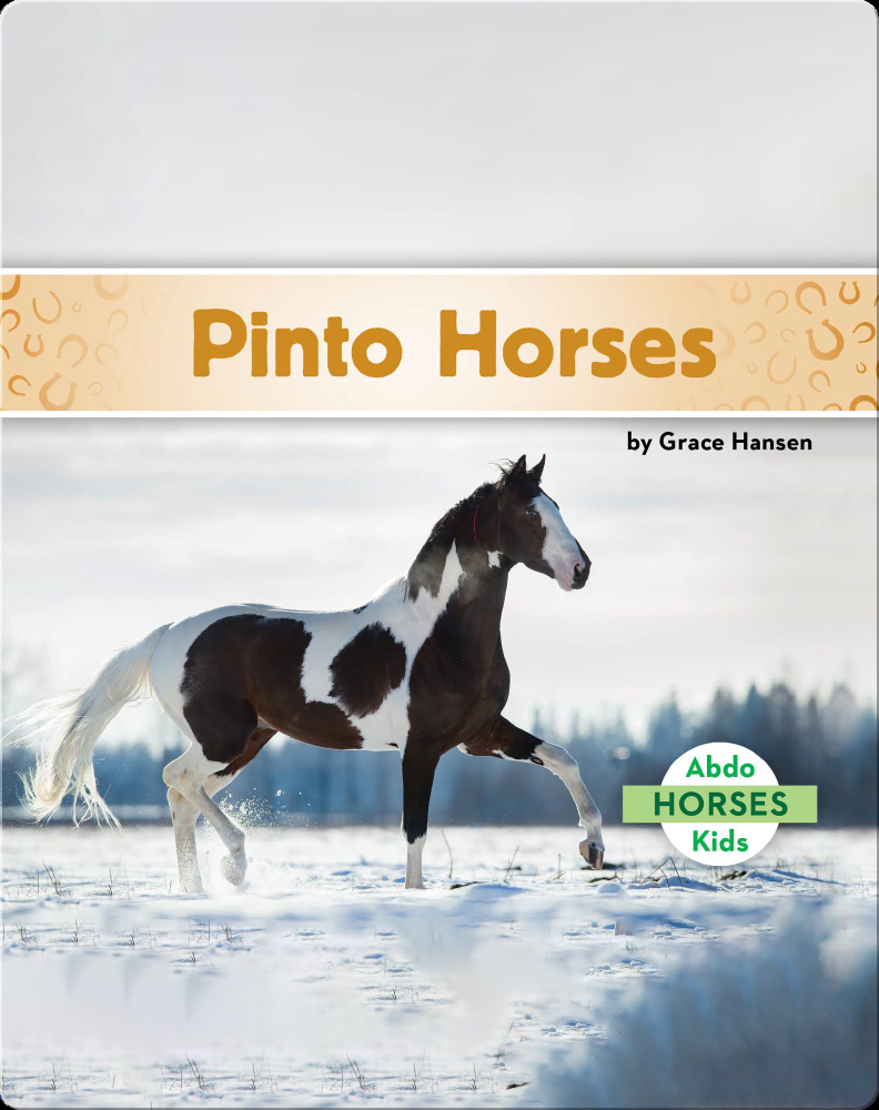 Pinto Horses Book by Grace Hansen | Epic