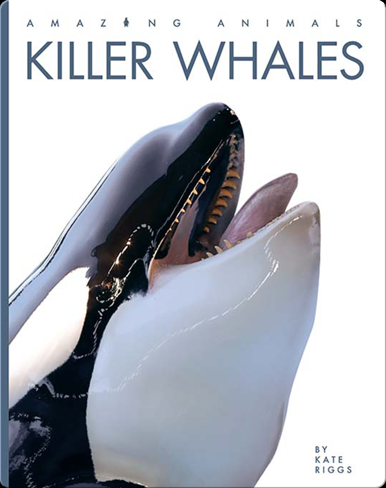 Amazing Animals: Killer Whales Book by Kate Riggs | Epic