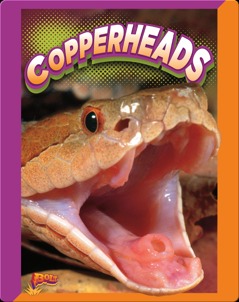 Slithering Snakes: Copperheads Book by Gail Terp | Epic