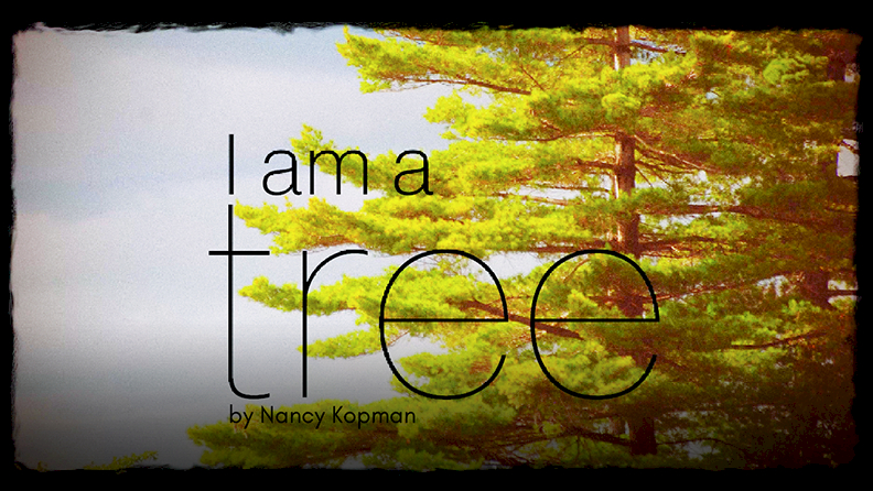 I Am A Tree Video | Discover Fun and Educational Videos That Kids Love ...