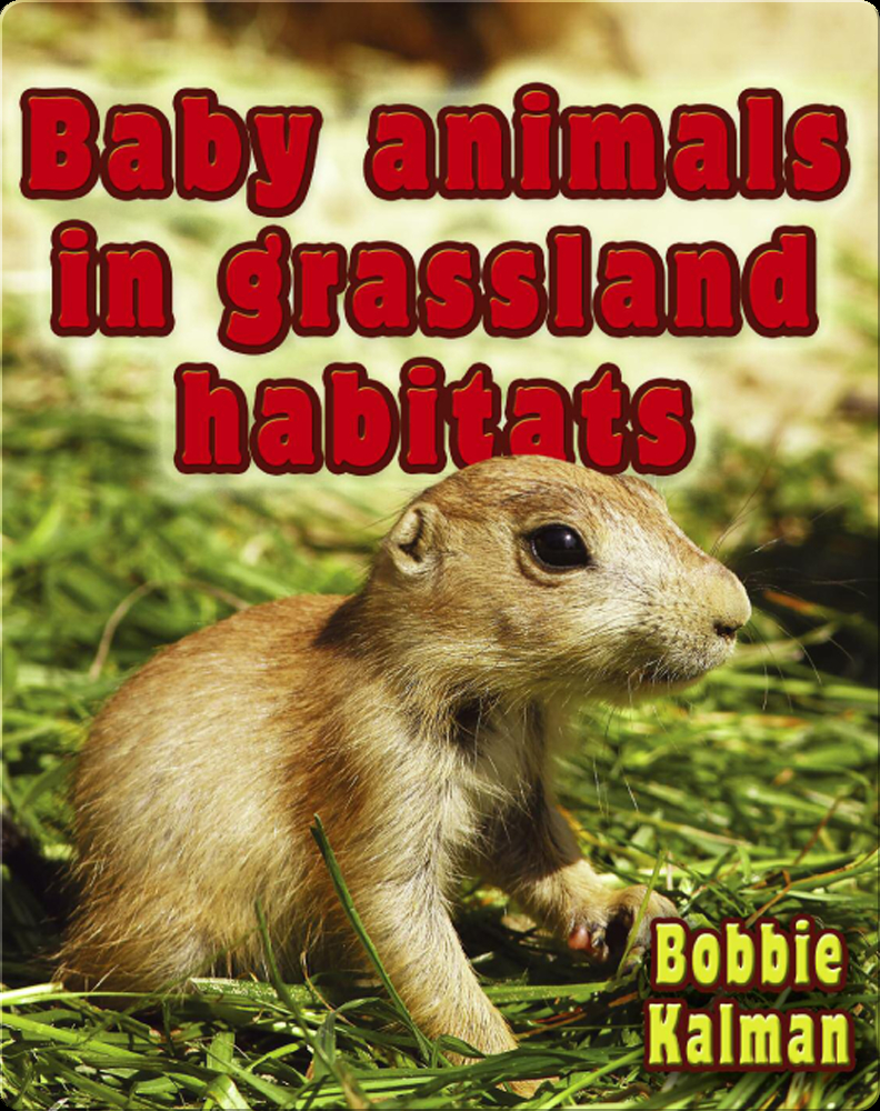 Baby Animals in Grassland Habitats Book by Bobbie Kalman | Epic