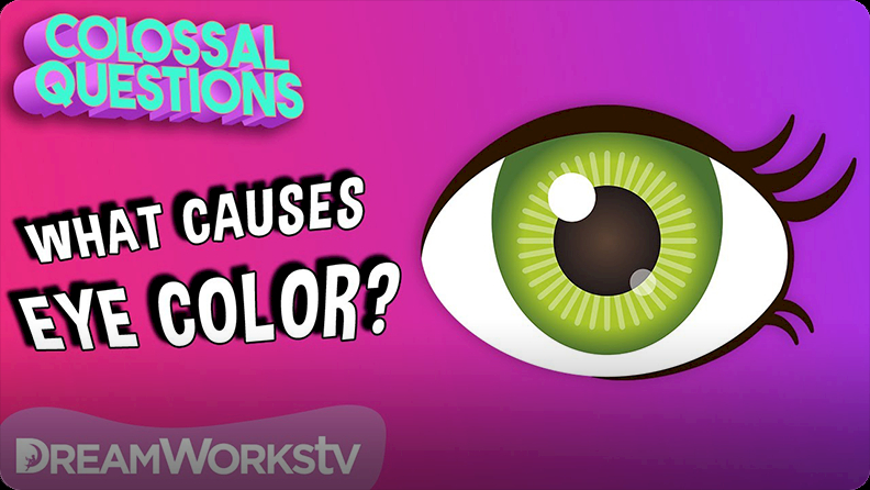 Colossal Questions: Why Are There Different Eye Colors? Video ...