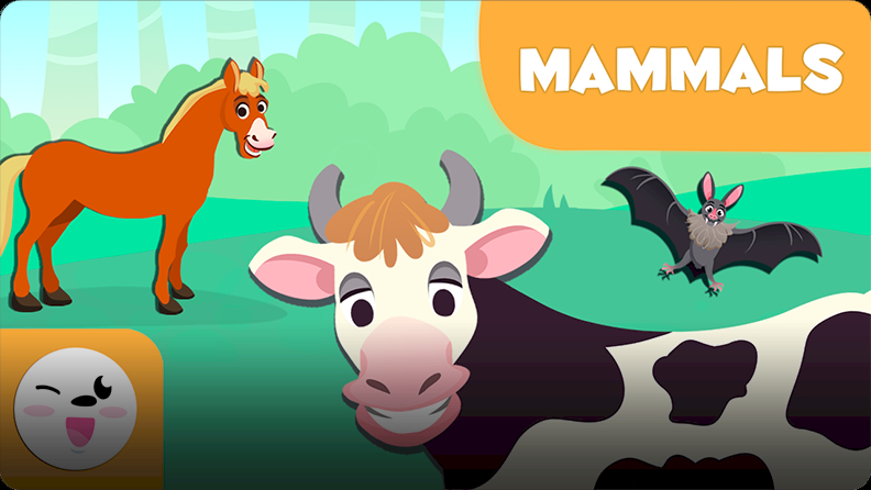 Smile and Learn Animals: Mammals Video | Discover Fun and Educational ...