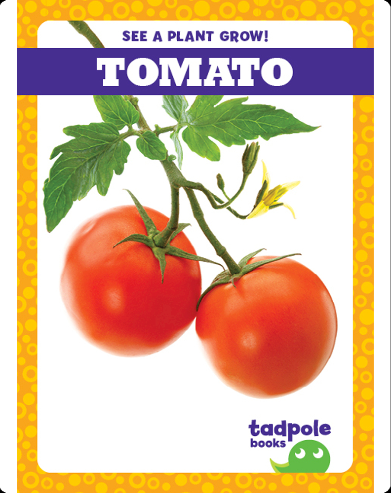 See a Plant Grow!: Tomato Book by Charlie W. Sterling | Epic