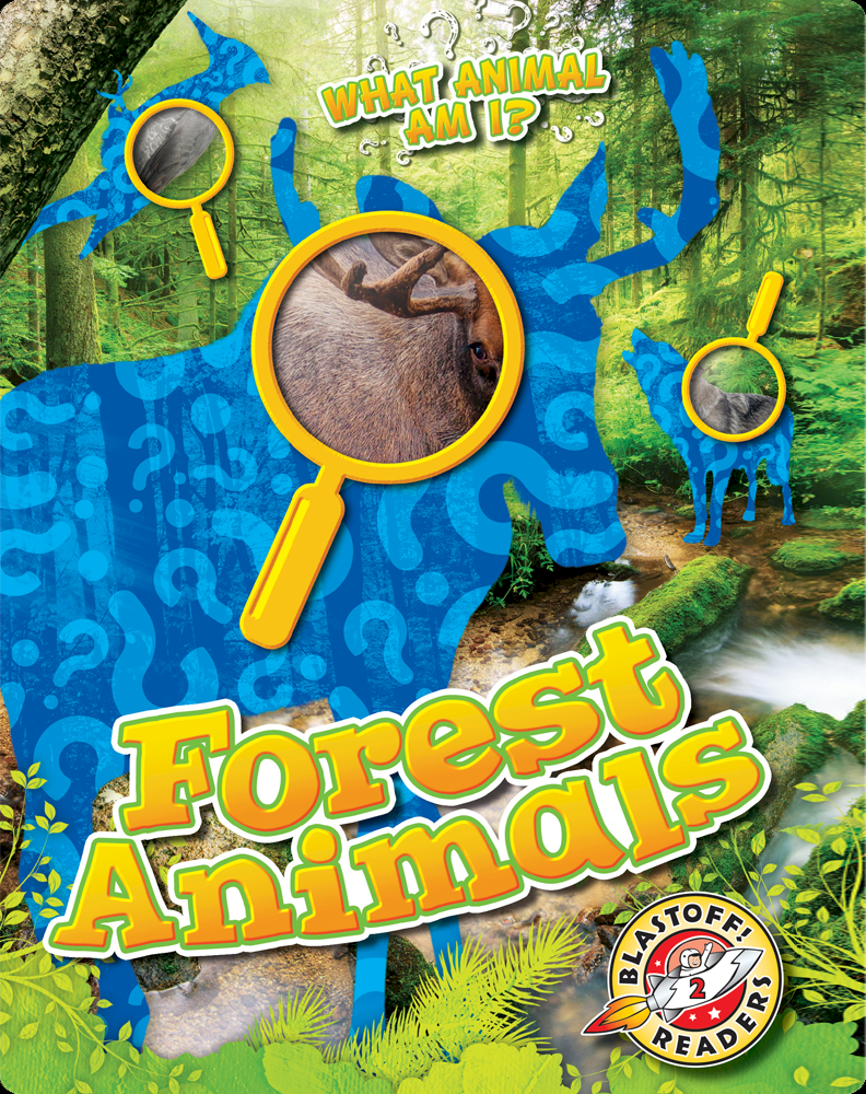 What Animal Am I?: Forest Animals Book by Elizabeth Neuenfeldt | Epic