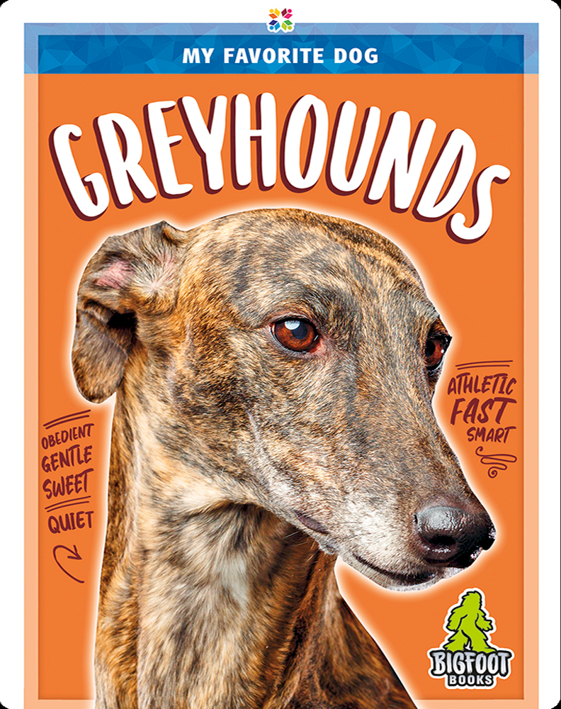 My Favorite Dog: Greyhounds Book by Colton Temple | Epic
