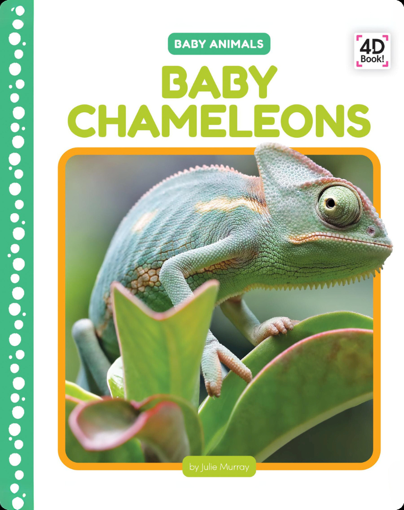 Baby Chameleons Book by Julie Murray | Epic