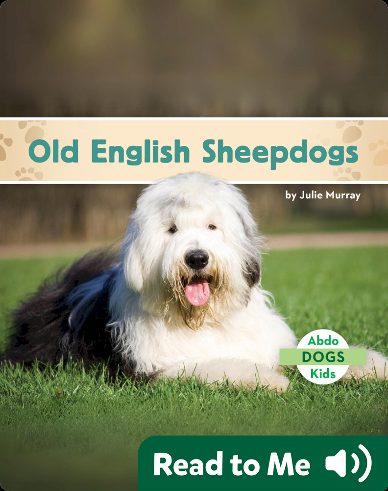 Old English Sheepdogs Book by Julie Murray | Epic
