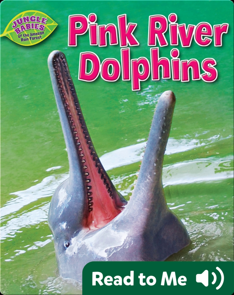 Pink River Dolphins Book by Rachel Lynette | Epic