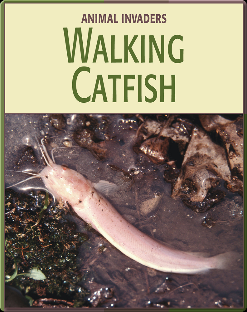 Animal Invaders: Walking Catfish Book by Susan H. Gray | Epic