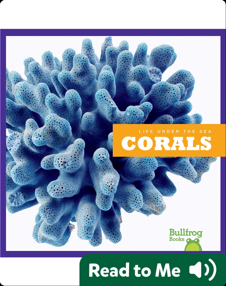 Life Under The Sea: Corals Book by Cari Meister | Epic