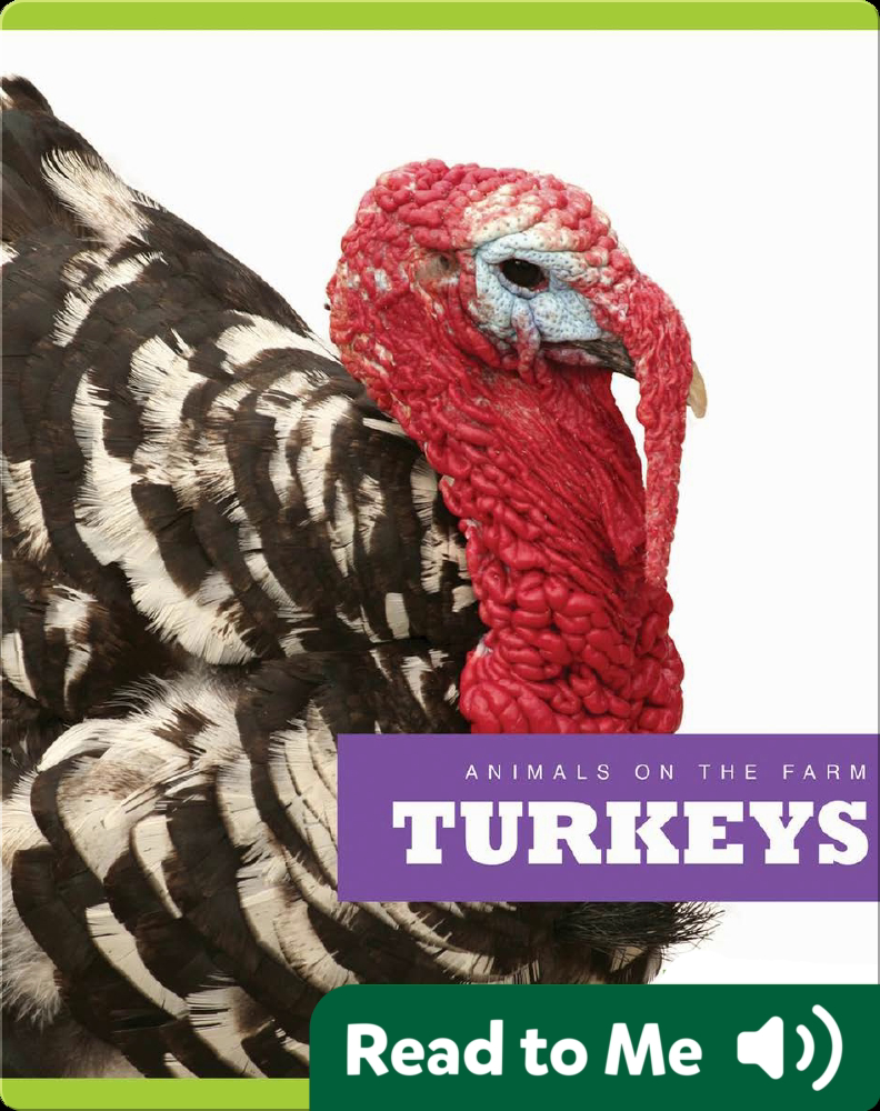 Turkeys Book by Wendy Strobel Dieker | Epic