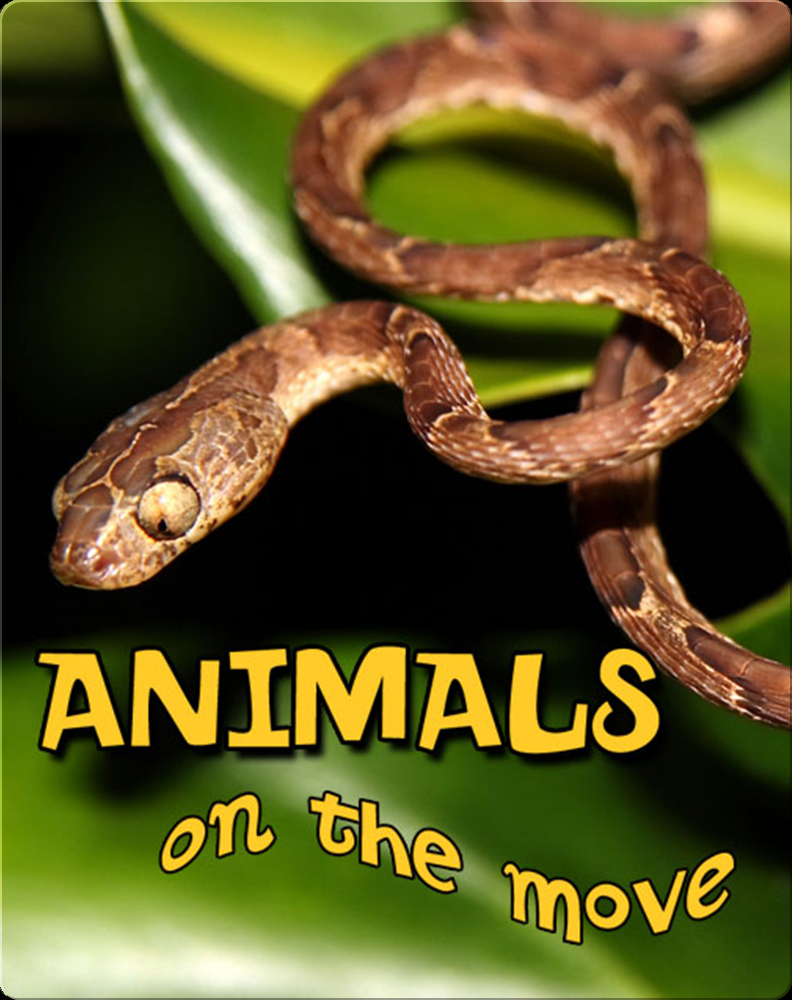 Animals On The Move Book by Christian Lopetz | Epic