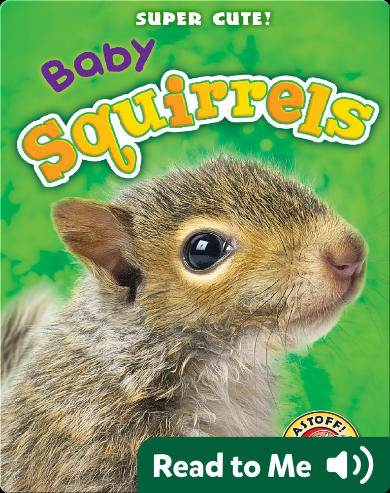 Super Cute! Baby Squirrels Book by Megan Borgert-Spaniol | Epic