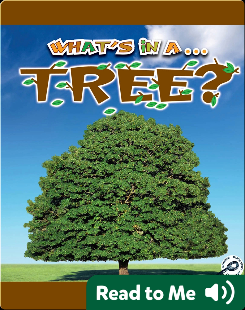 What's In A... Tree? Book by Tracy Nelson Maurer | Epic